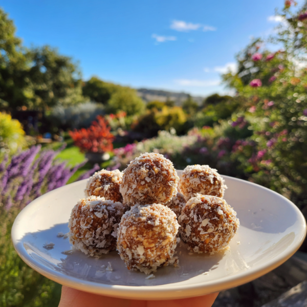 Schweddy Balls Recipe - OoohDelish!